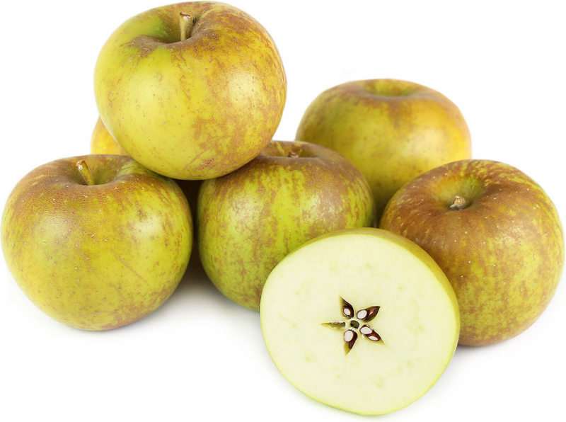 Golden Russet Apple Tree LARGE SEMI-DWARF (B118) – Nutcracker Nursery ...
