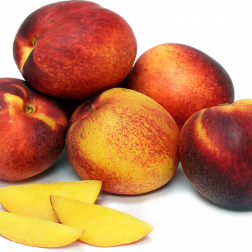 Peach trees and Nectarines – Nutcracker Nursery & Tree Farm