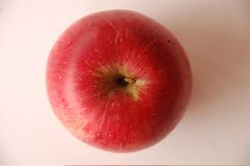 Wealthy apple tree – Nutcracker Nursery & Tree Farm