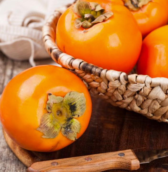 EARLY GOLDEN grafted persimmon – Nutcracker Nursery & Tree Farm